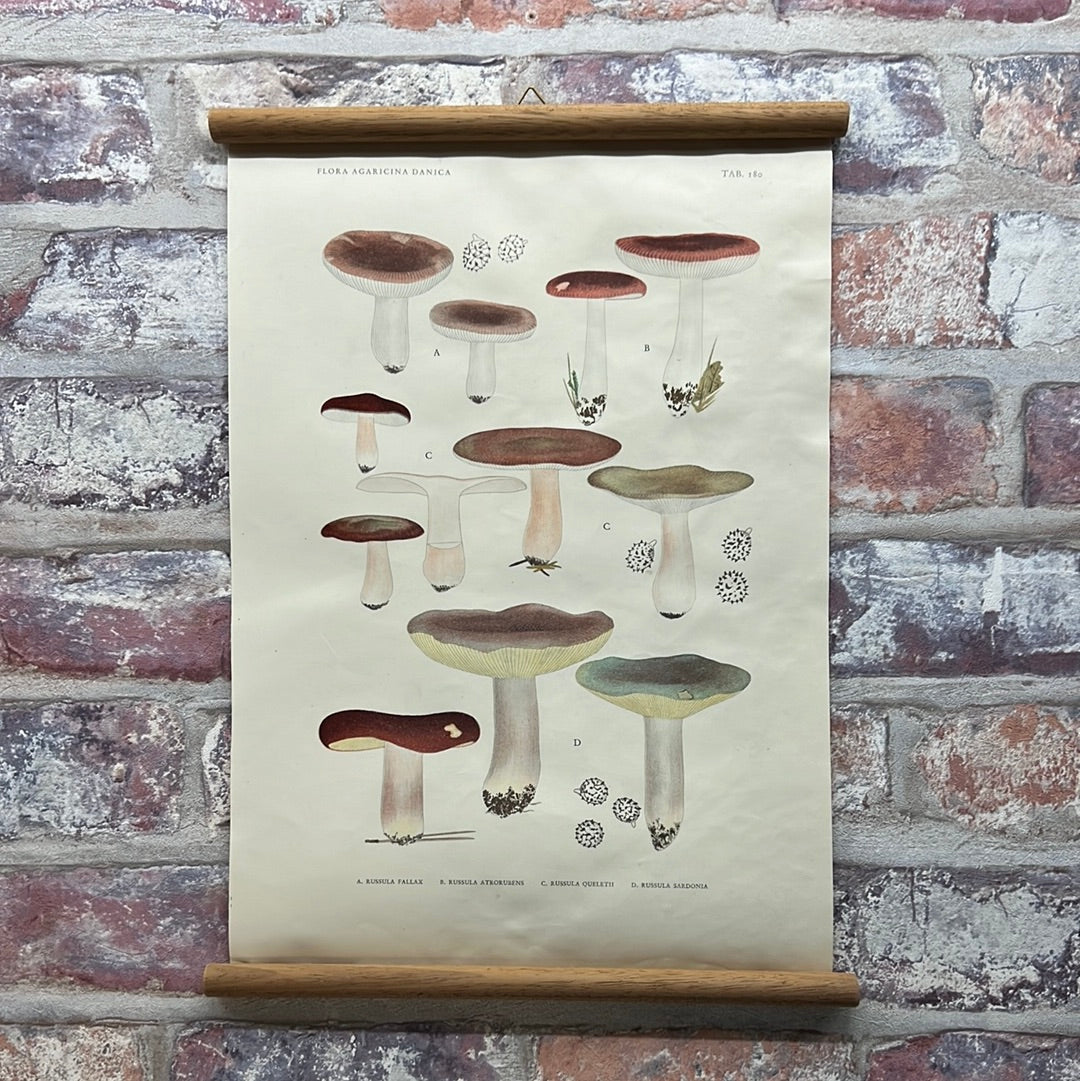 Tab. 180 – Gamleplancher.dk